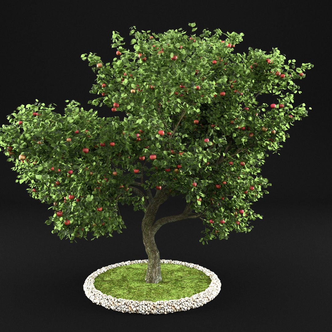3D Apple Tree - TurboSquid 1159245