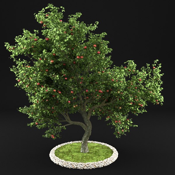 Free 3D Apple-Tree Models | TurboSquid