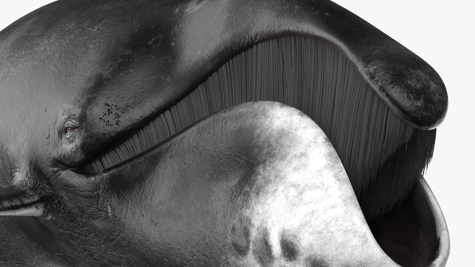 3D Sea Mammal Bowhead Whale Rest Pose Fur Model - TurboSquid 2114714