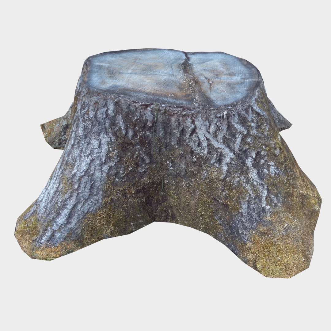 Free 3D Tree Stump Model - TurboSquid 1293666