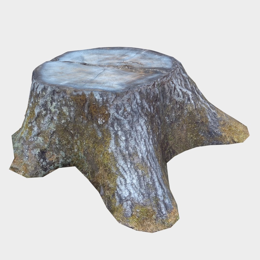 Free 3D Tree Stump Model - TurboSquid 1293666