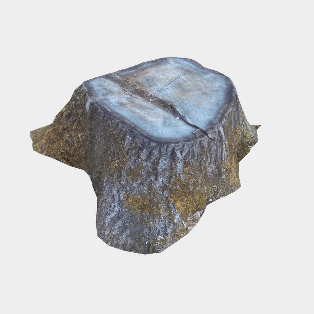 Free 3D Tree Stump Model - TurboSquid 1293666