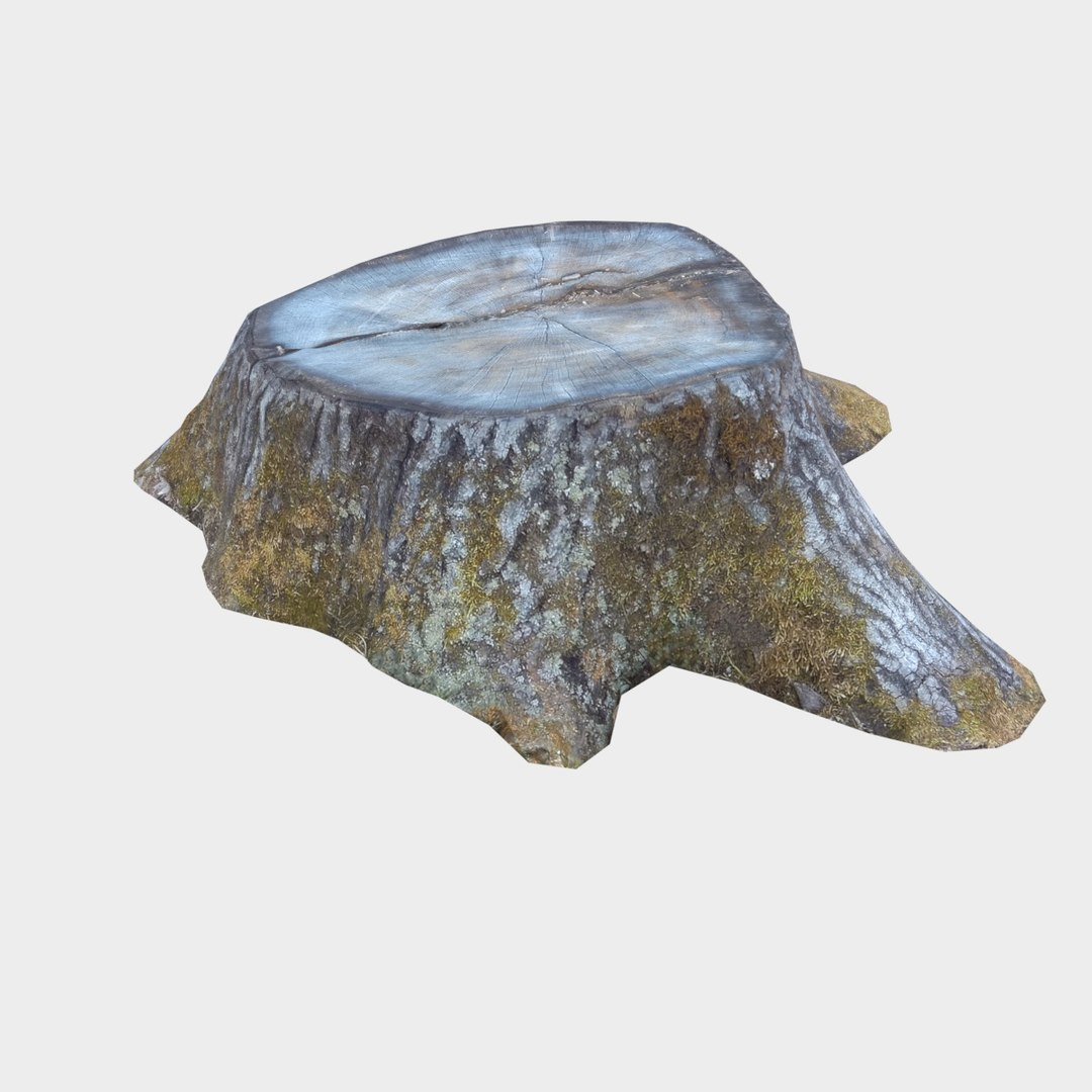 Free 3D Tree Stump Model - TurboSquid 1293666