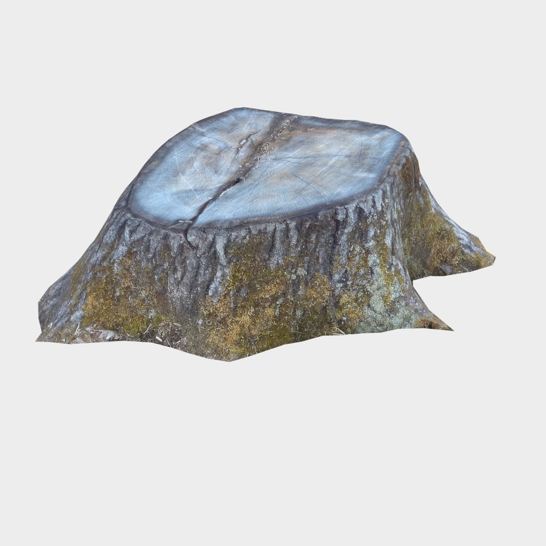 Free 3D Tree Stump Model - TurboSquid 1293666