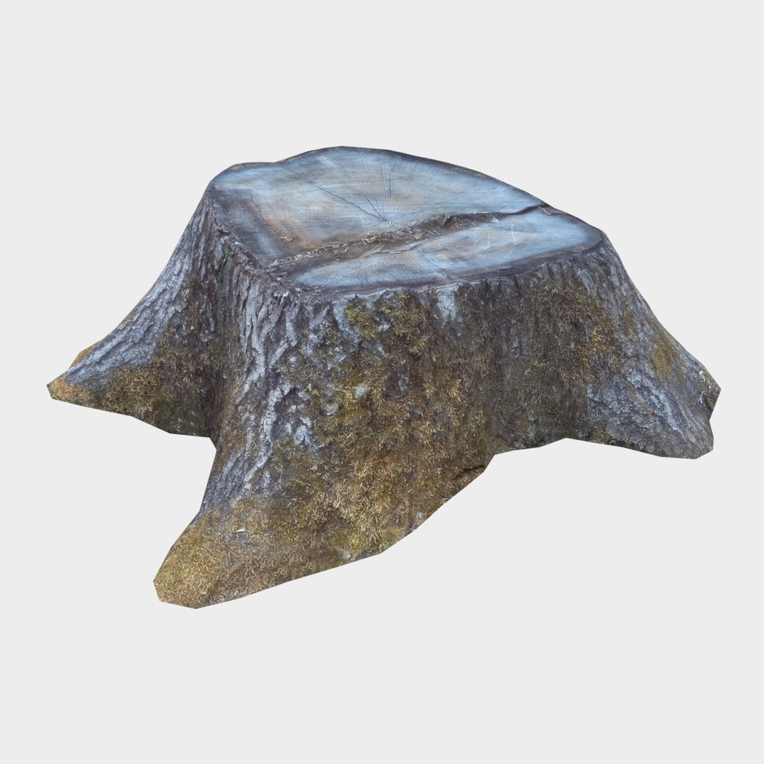 Free 3D Tree Stump Model - TurboSquid 1293666