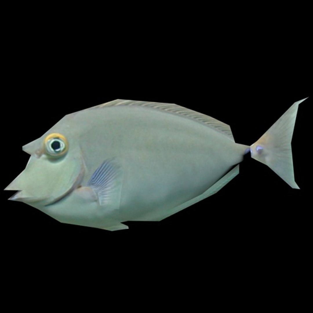 Fish X 3d Model