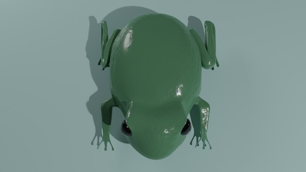 Frog model - TurboSquid 1821157