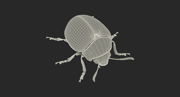 Insect pests 3D model - TurboSquid 1548977