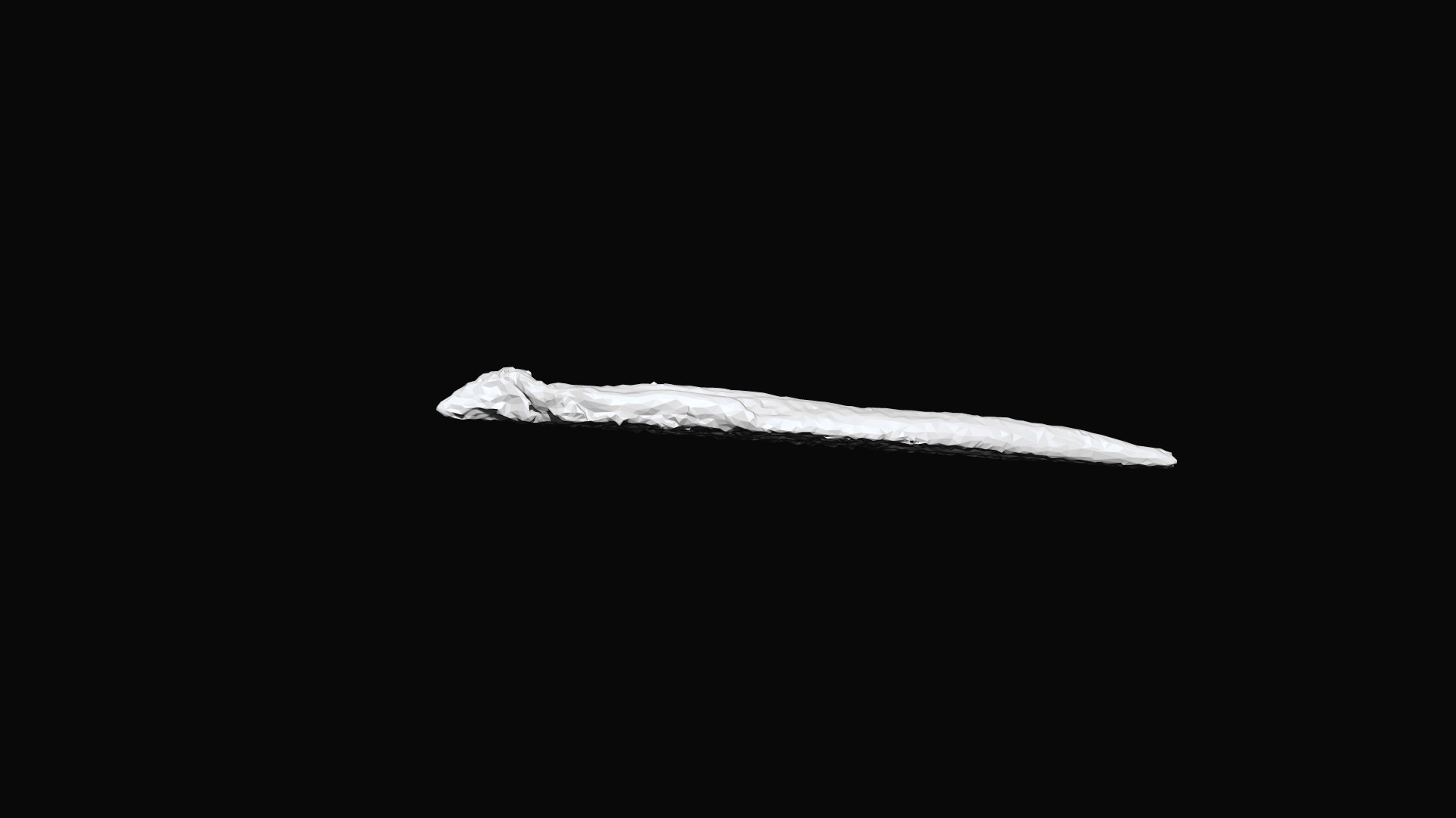 Grilled Eel 3D CT Scan Model Decimate 3 Percent 3D Model - TurboSquid ...