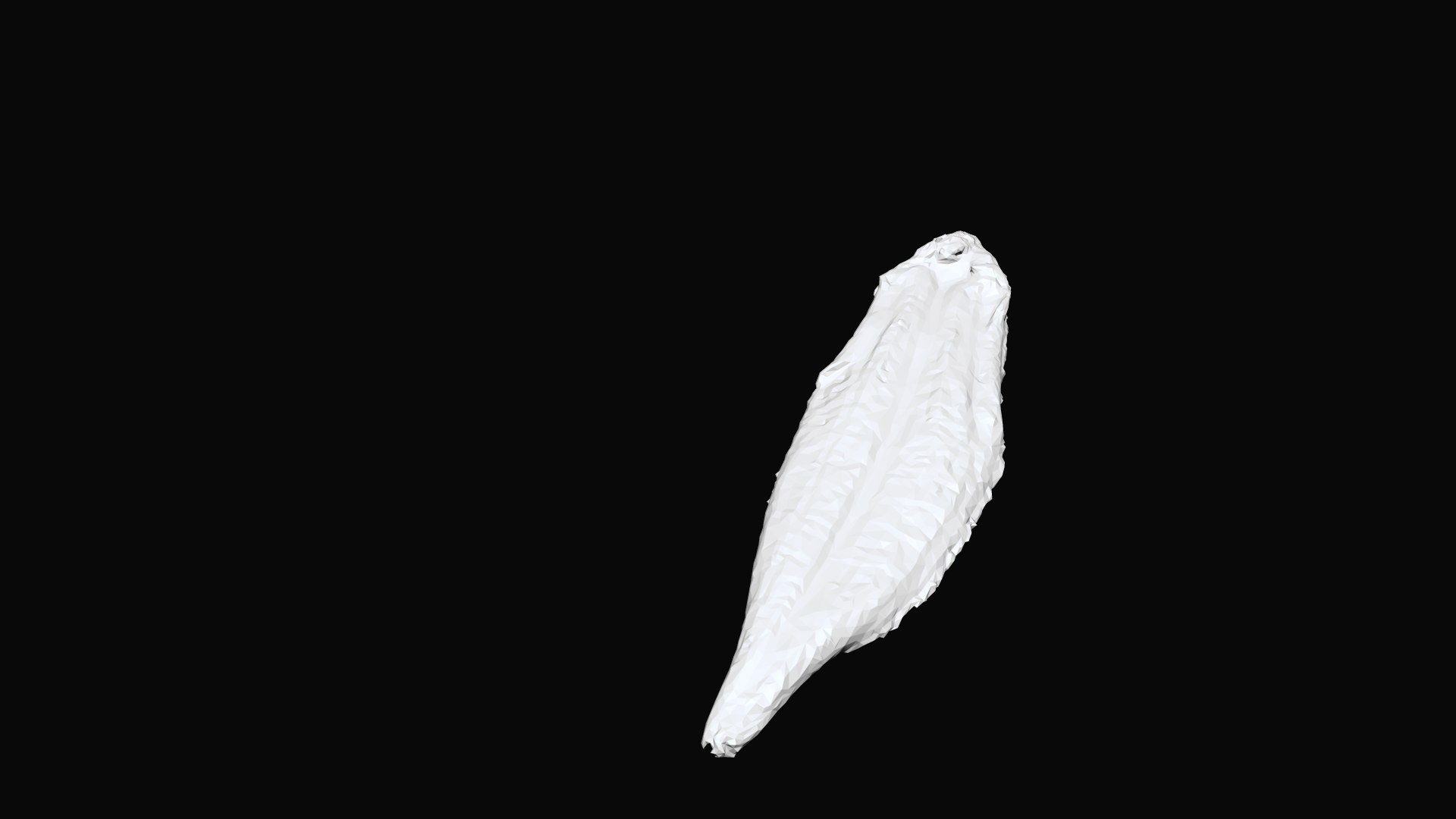 Grilled Eel 3D CT Scan Model Decimate 3 Percent 3D Model - TurboSquid ...