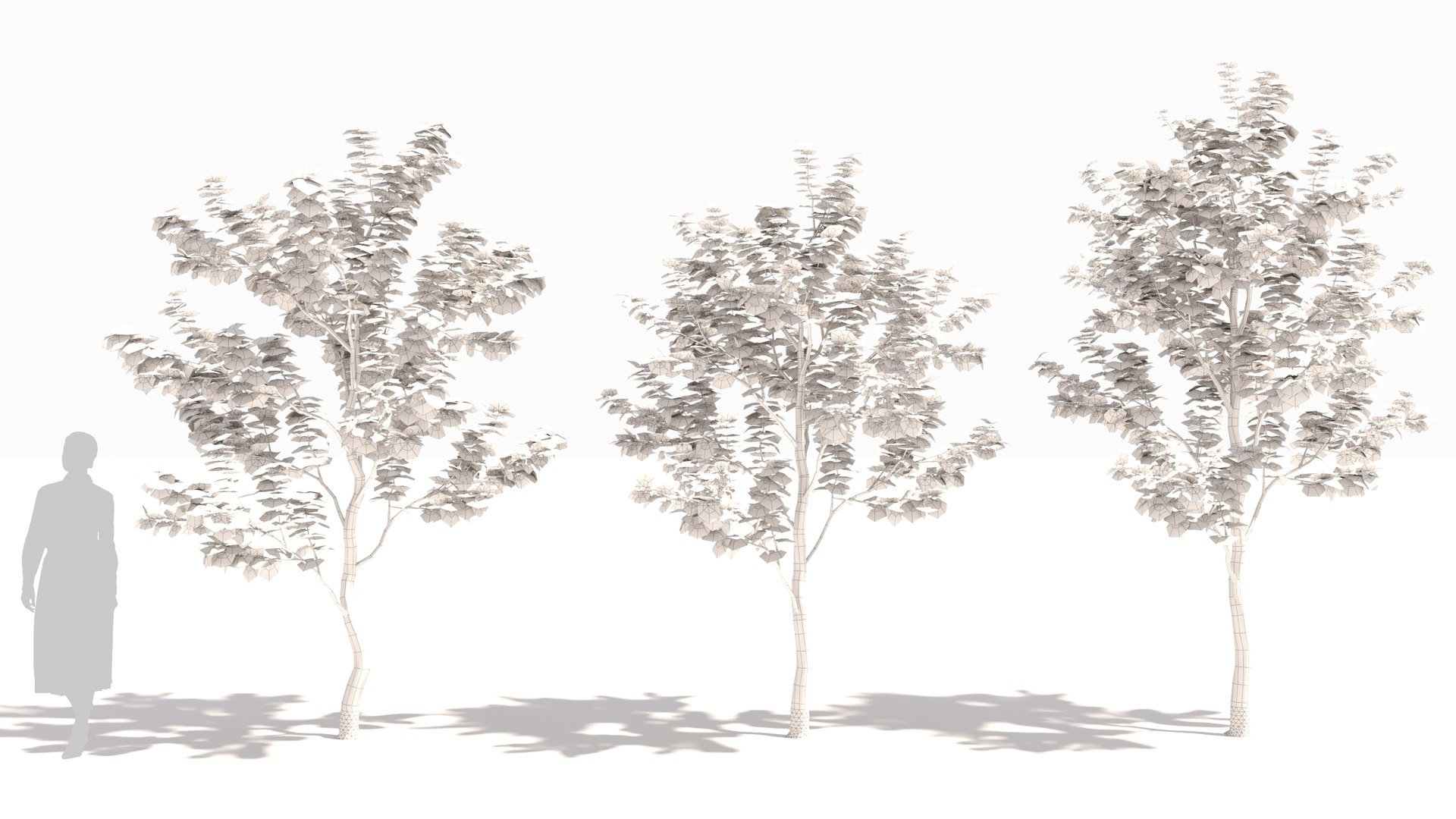 Sugar Maple Tree 3D - TurboSquid 2058429