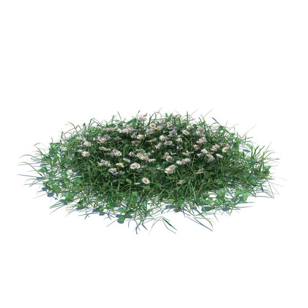 archmodels vol 126 grass 3d model