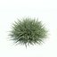 Archmodels Vol 126 Grass 3d Model