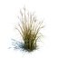 Archmodels Vol 126 Grass 3d Model