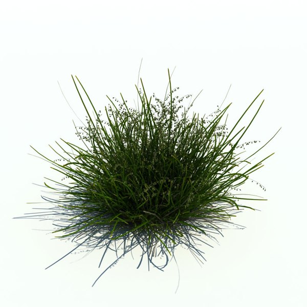 archmodels vol 126 grass 3d model