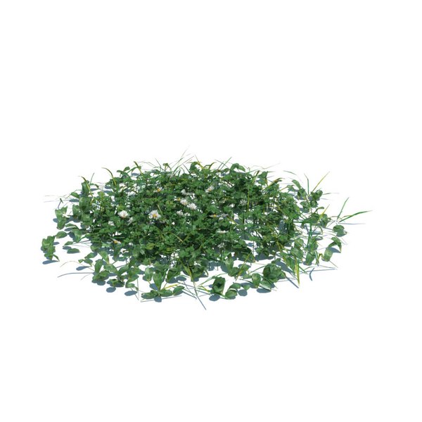 archmodels vol 126 grass 3d model