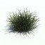 Archmodels Vol 126 Grass 3d Model