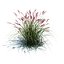 Archmodels Vol 126 Grass 3d Model