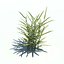 Archmodels Vol 126 Grass 3d Model