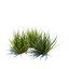 Archmodels Vol 126 Grass 3d Model