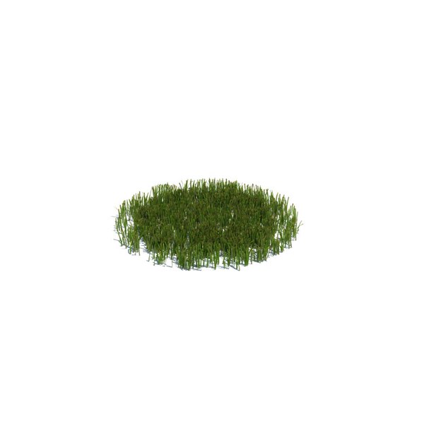 archmodels vol 126 grass 3d model