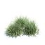 Archmodels Vol 126 Grass 3d Model