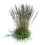 Archmodels Vol 126 Grass 3d Model