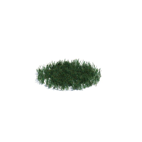 archmodels vol 126 grass 3d model