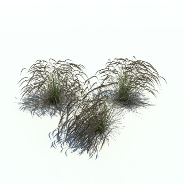 archmodels vol 126 grass 3d model