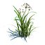Archmodels Vol 126 Grass 3d Model