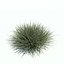 Archmodels Vol 126 Grass 3d Model