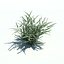 Archmodels Vol 126 Grass 3d Model
