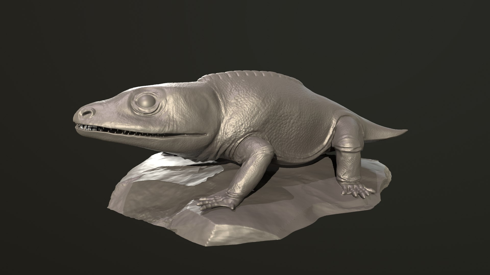 Cacops Aspidephorus 3D Model - TurboSquid 1626935