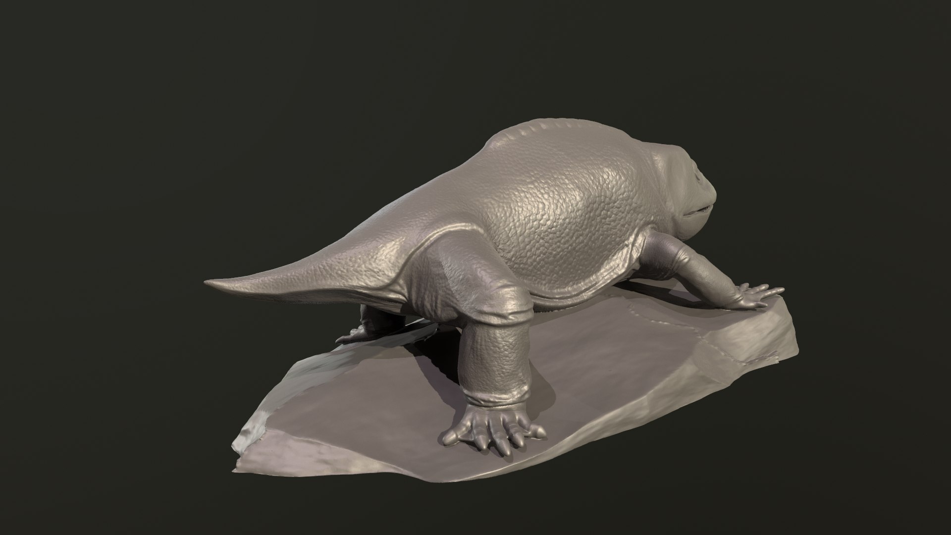 Cacops Aspidephorus 3D Model - TurboSquid 1626935