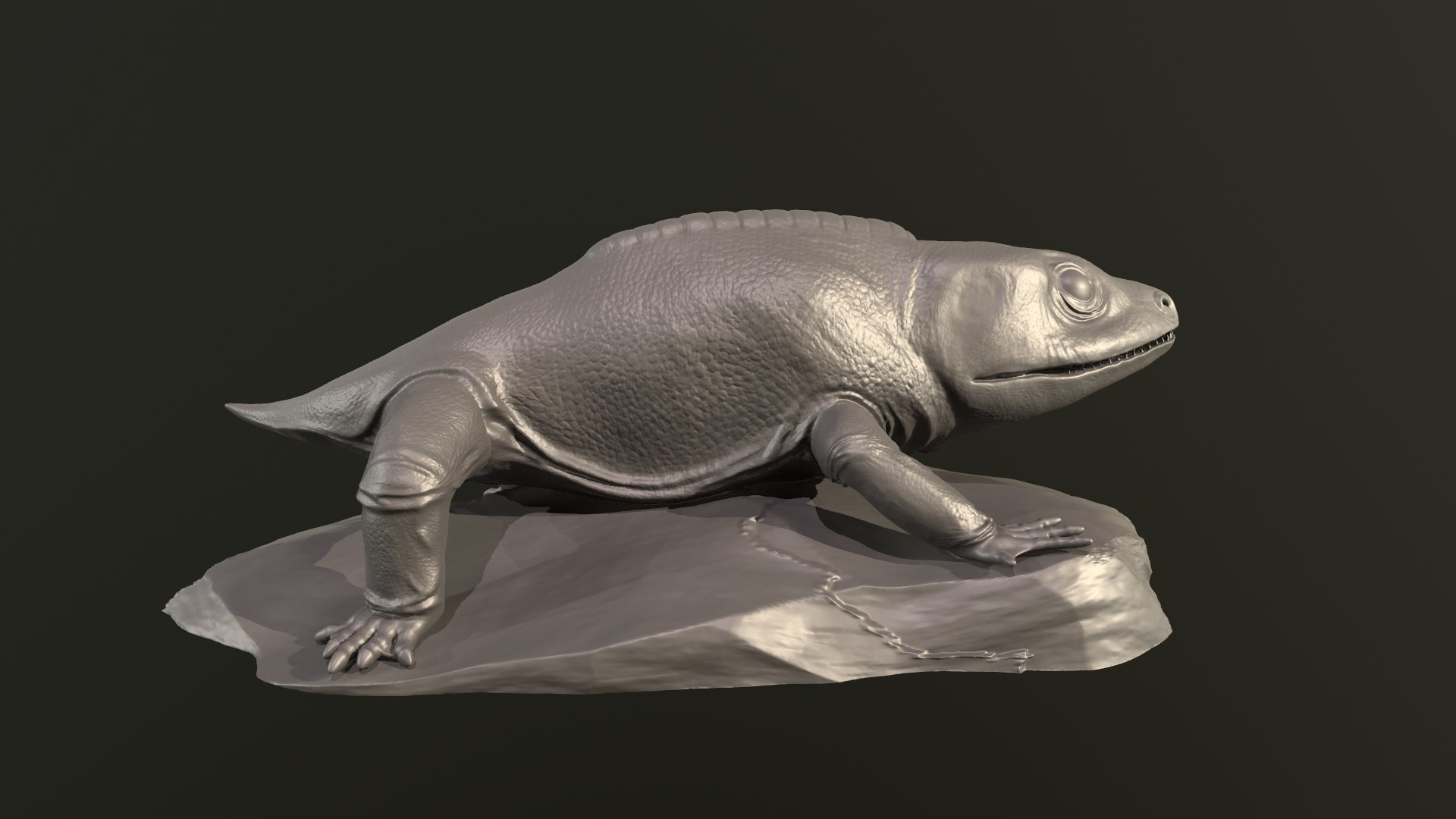 Cacops Aspidephorus 3D Model - TurboSquid 1626935