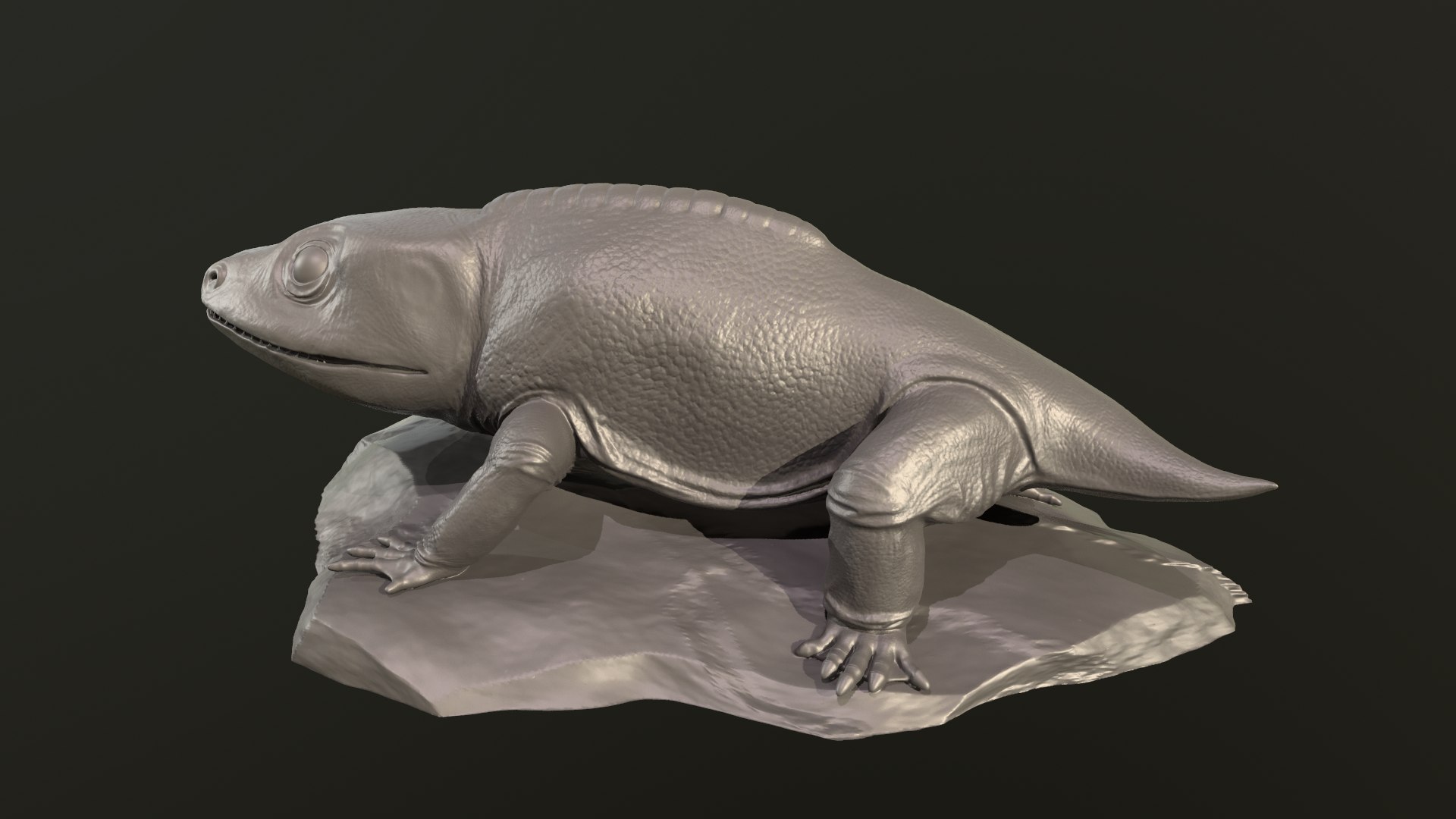 Cacops Aspidephorus 3D Model - TurboSquid 1626935