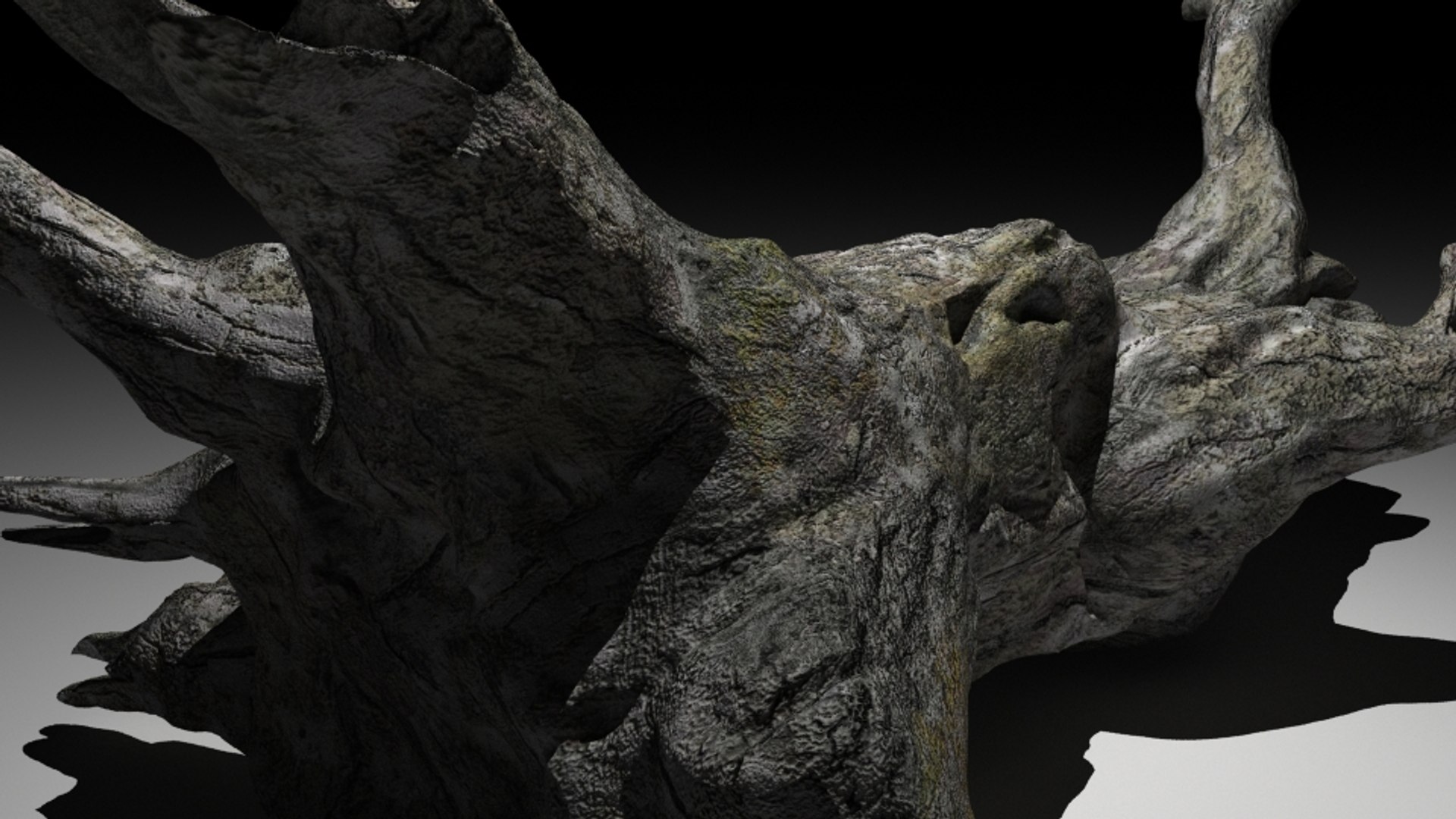 Death Tree 3d Model