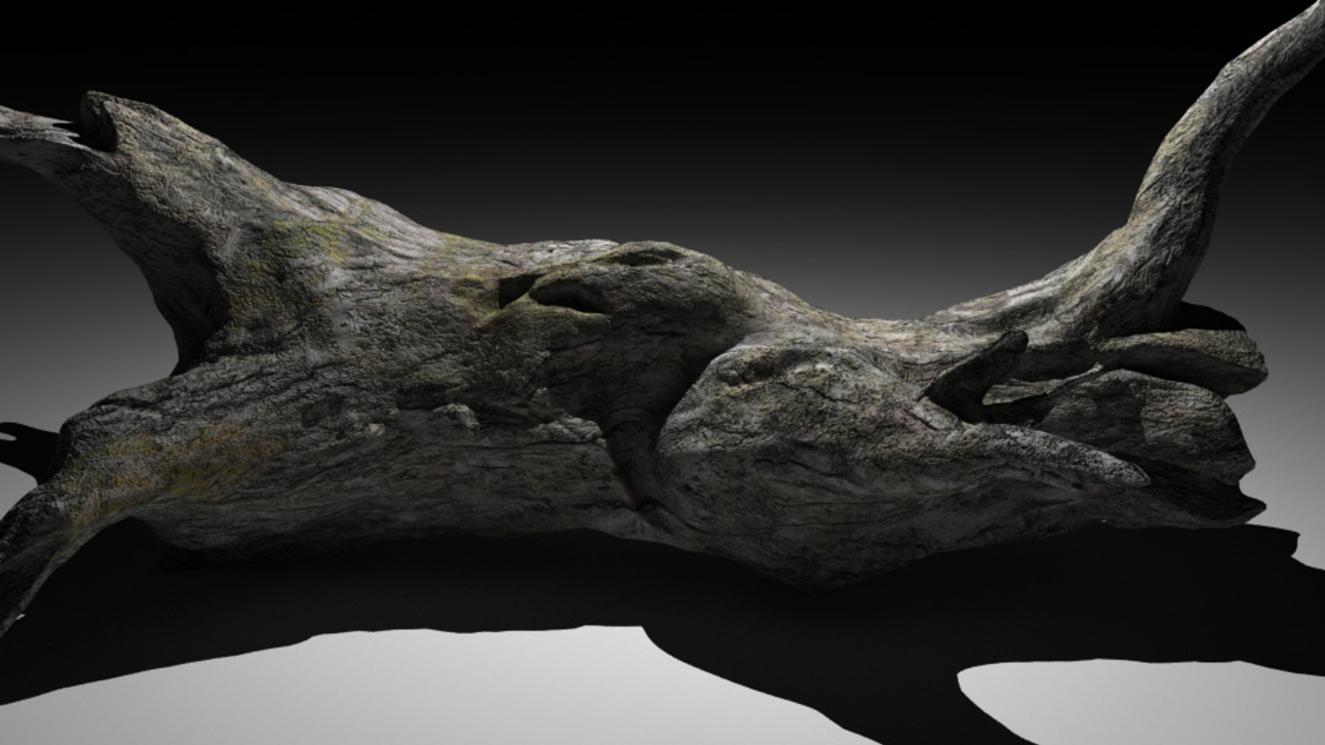 Death Tree 3d Model