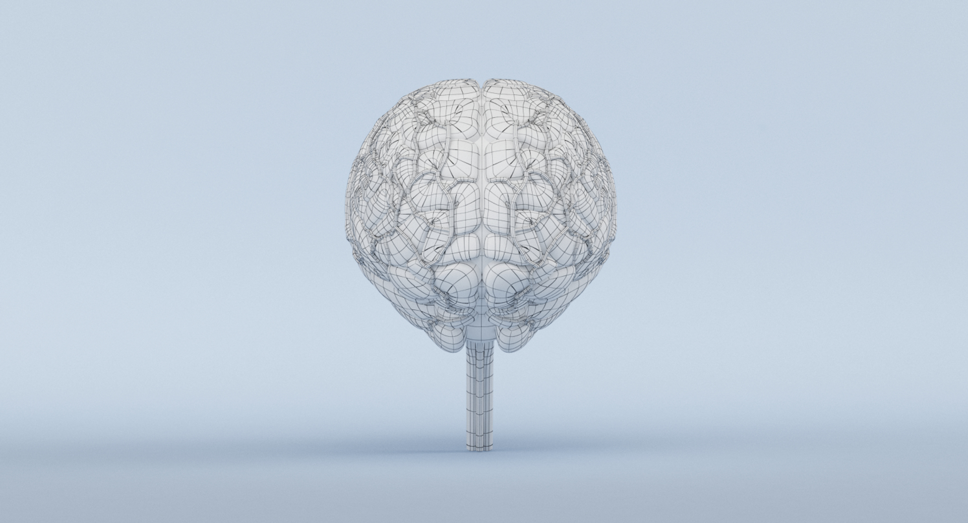 3d human brain