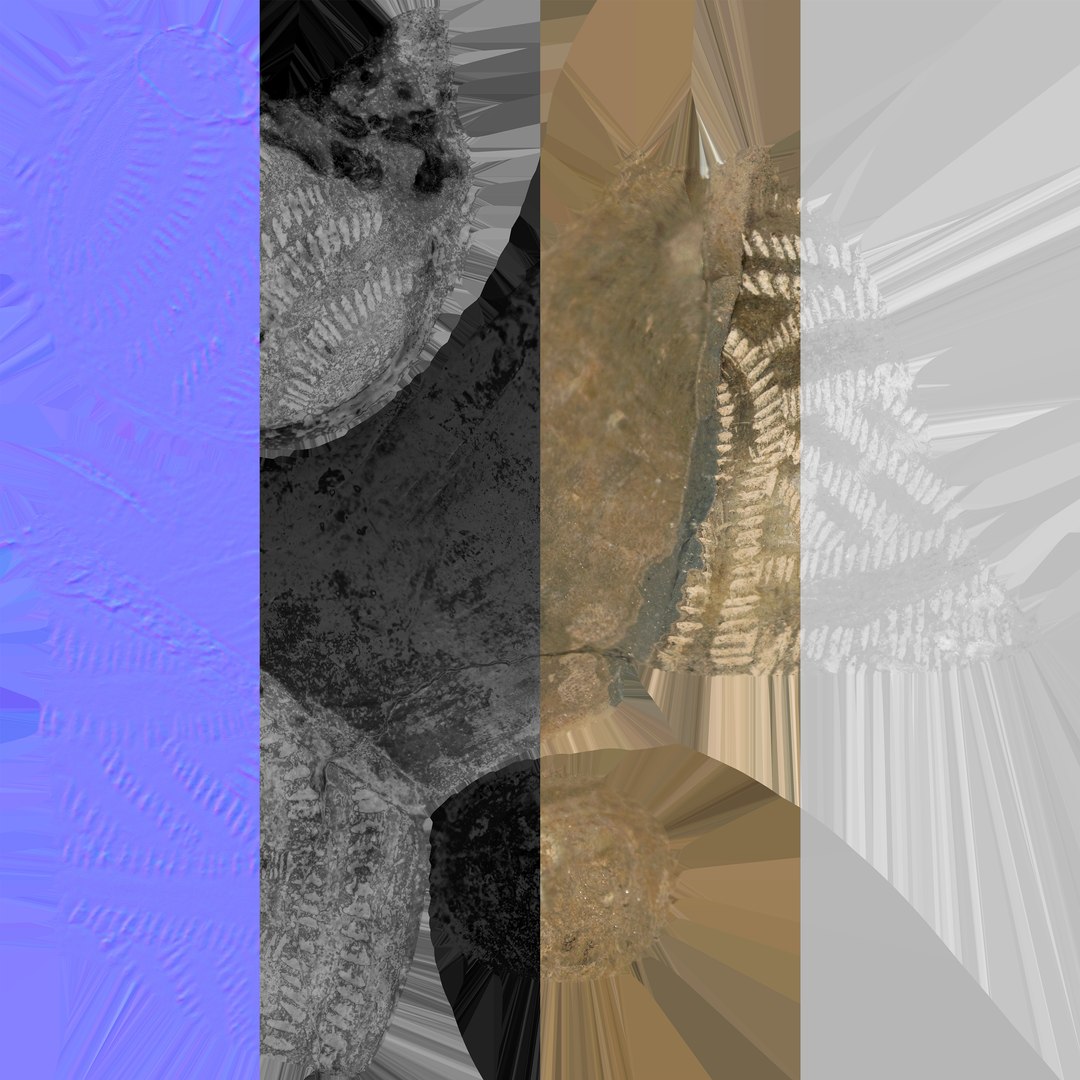 3D Model Ancient Phalus Cover 01 - TurboSquid 1827937