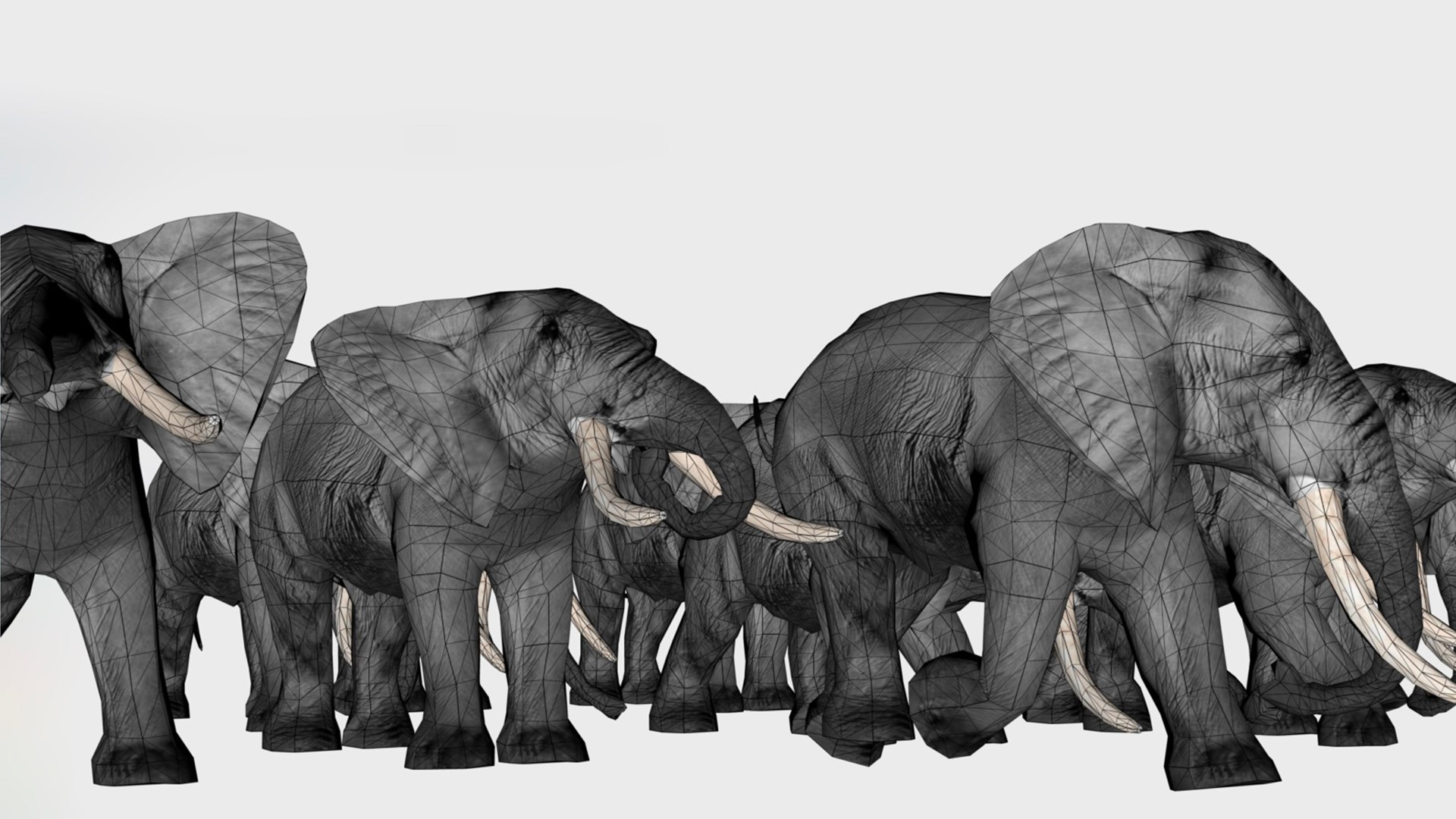 Elephant Family 3D Model - TurboSquid 1952178
