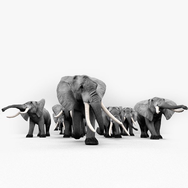 3d photorealistic african elephant rigged model