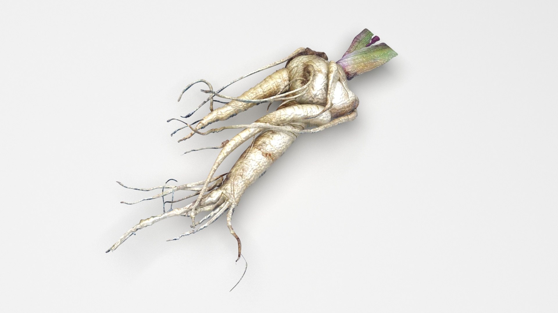 Mandrake 3D - TurboSquid 2269290