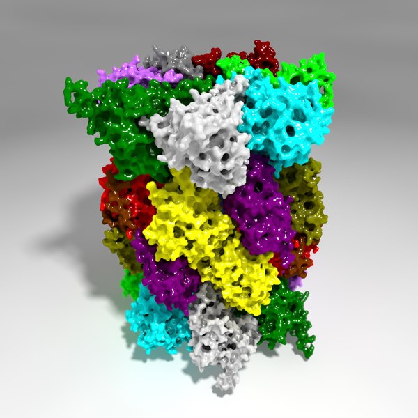 Protein 3D Models for Download | TurboSquid