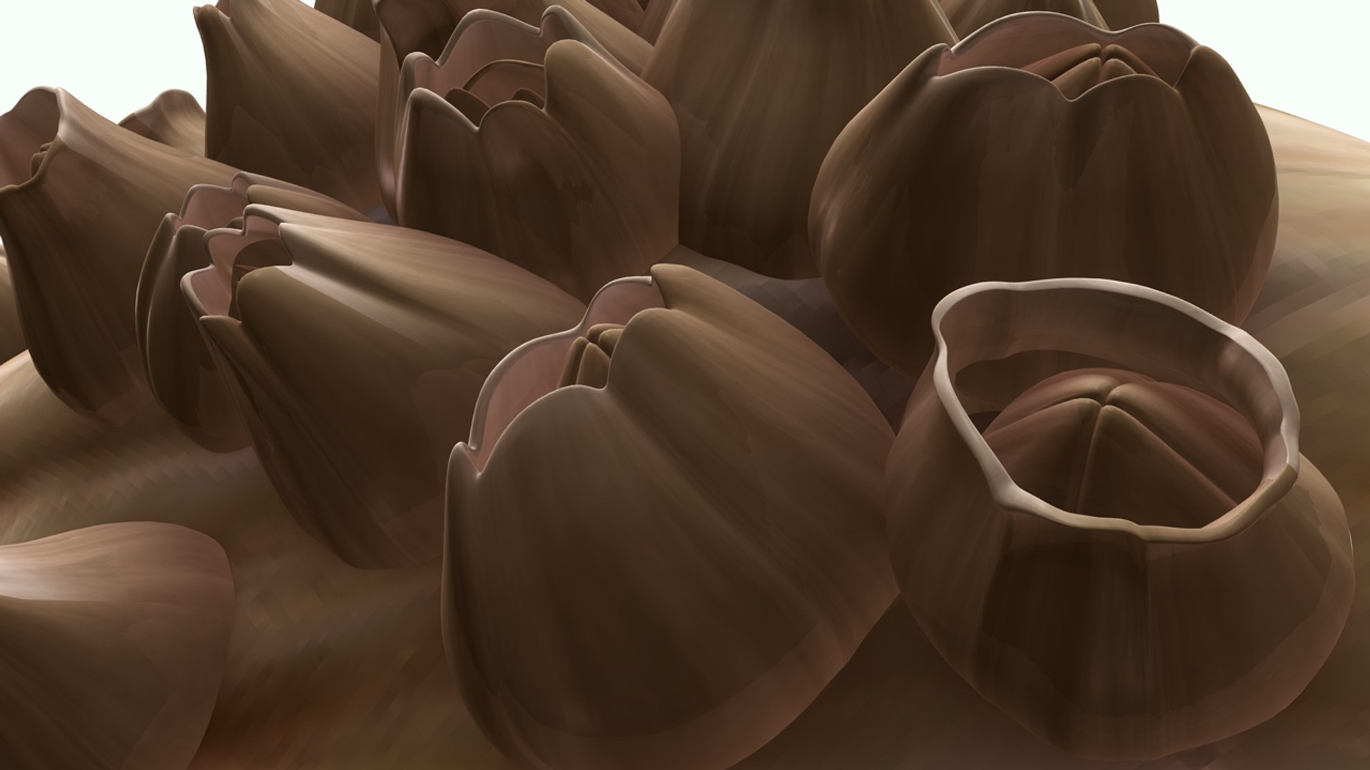 Balanus Barnacle Seas 3d Model