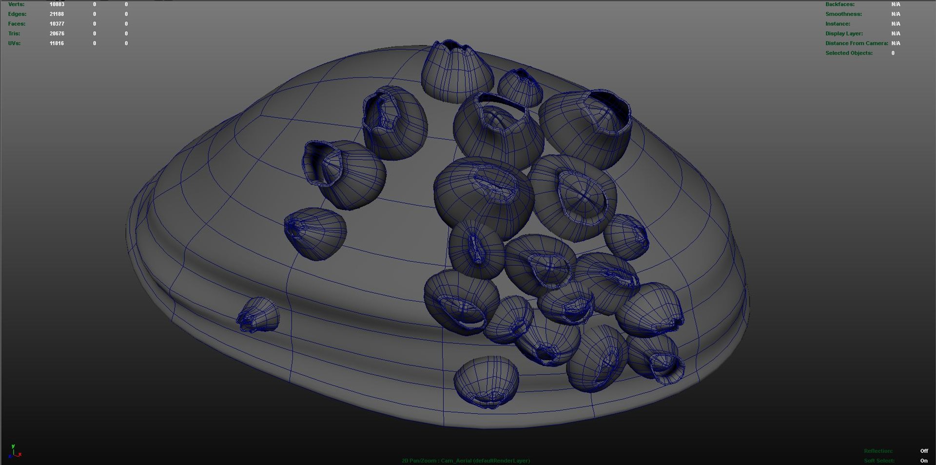 Balanus Barnacle Seas 3d Model