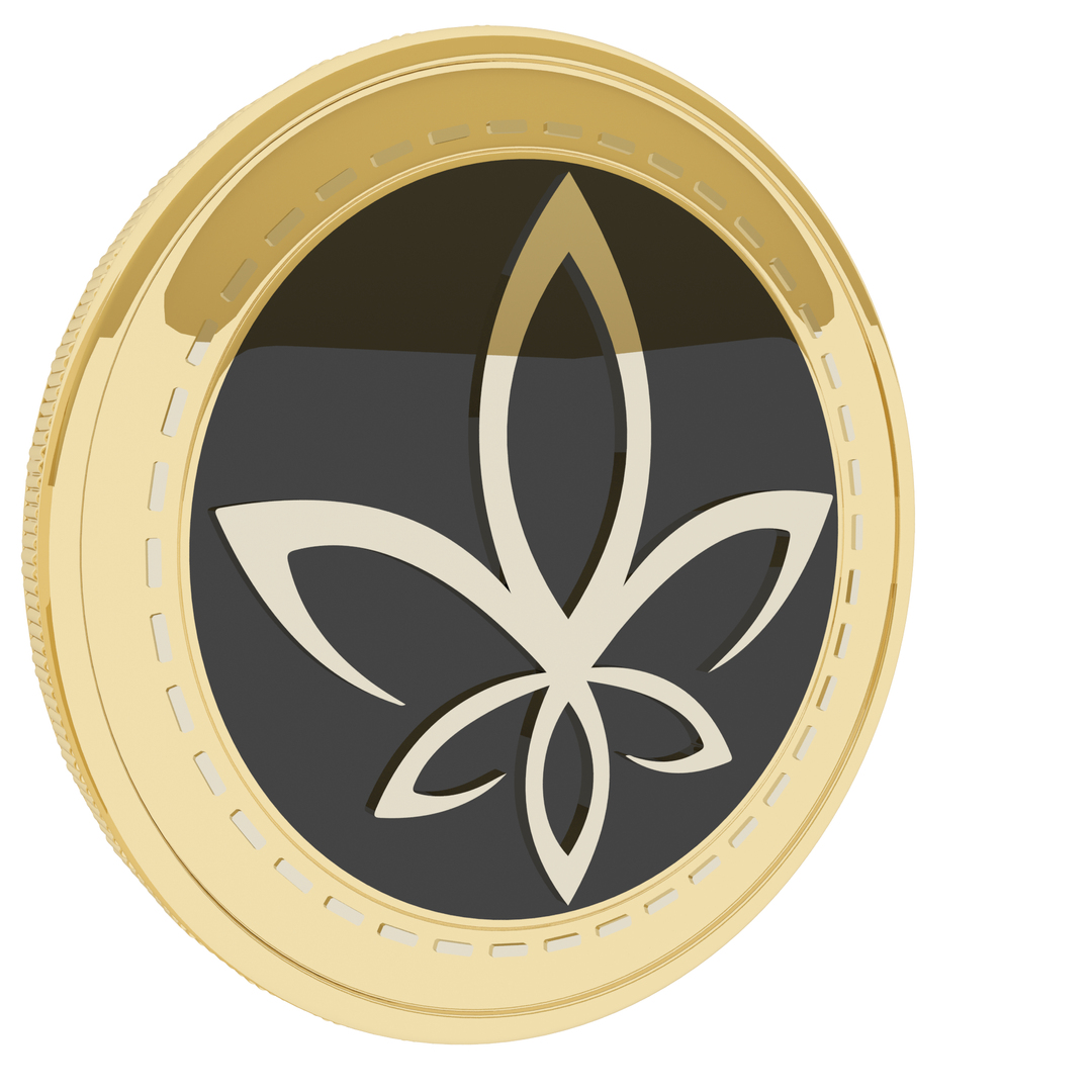 3D FLO Cryptocurrency Gold Coin - TurboSquid 1856191