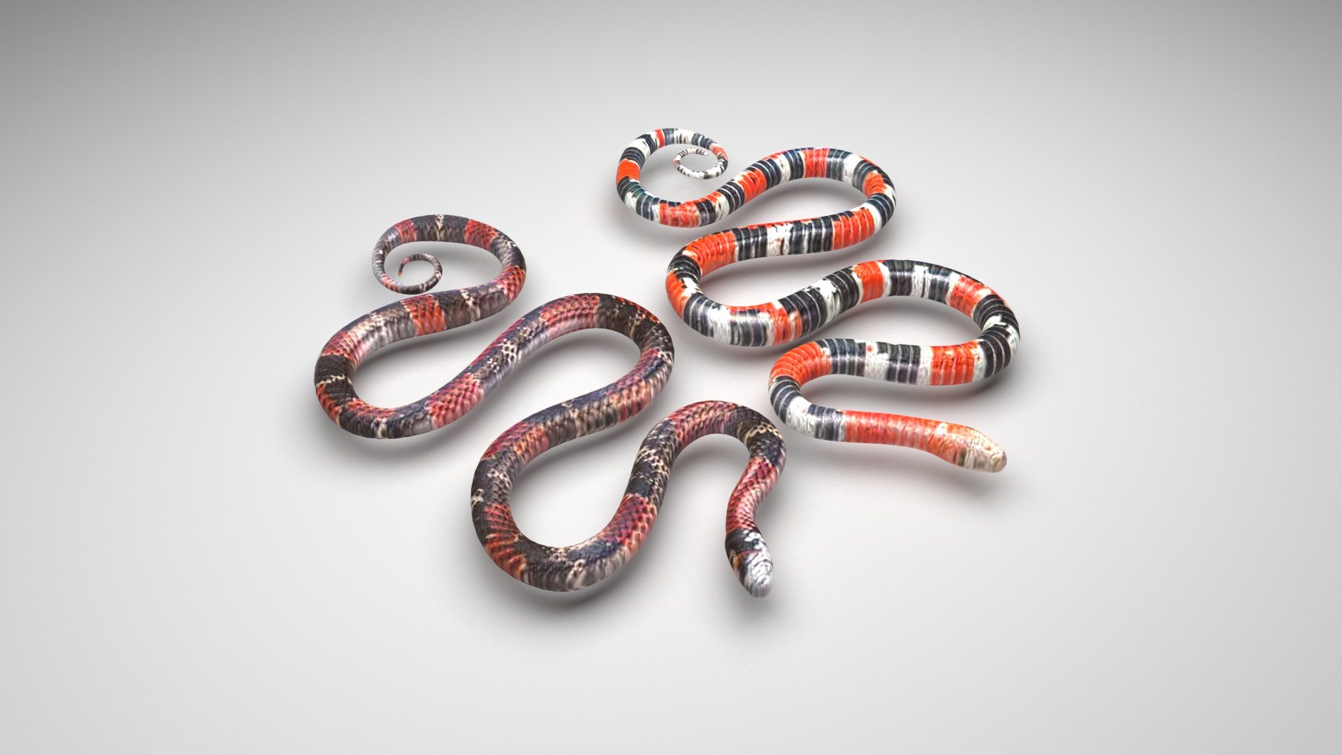 3D Snakes - TurboSquid 1871543