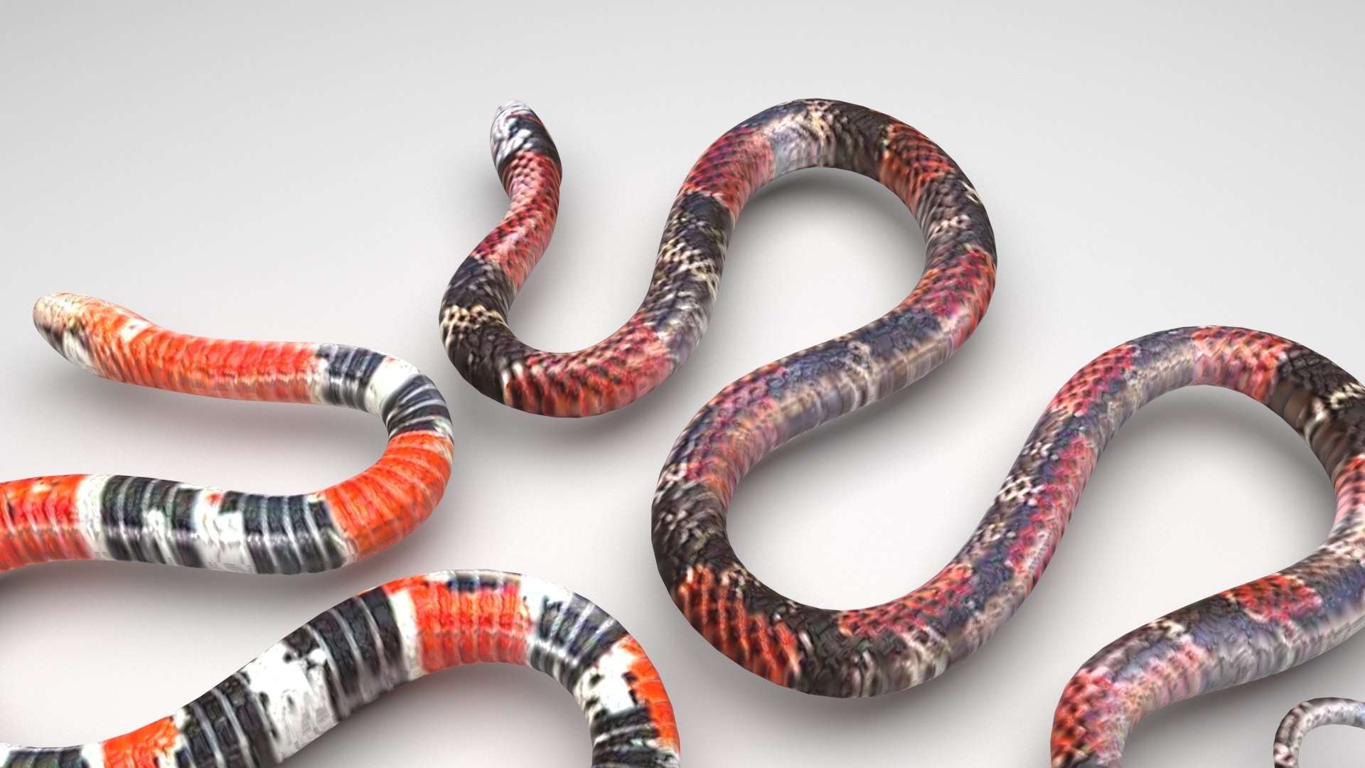 3D Snakes - TurboSquid 1871543