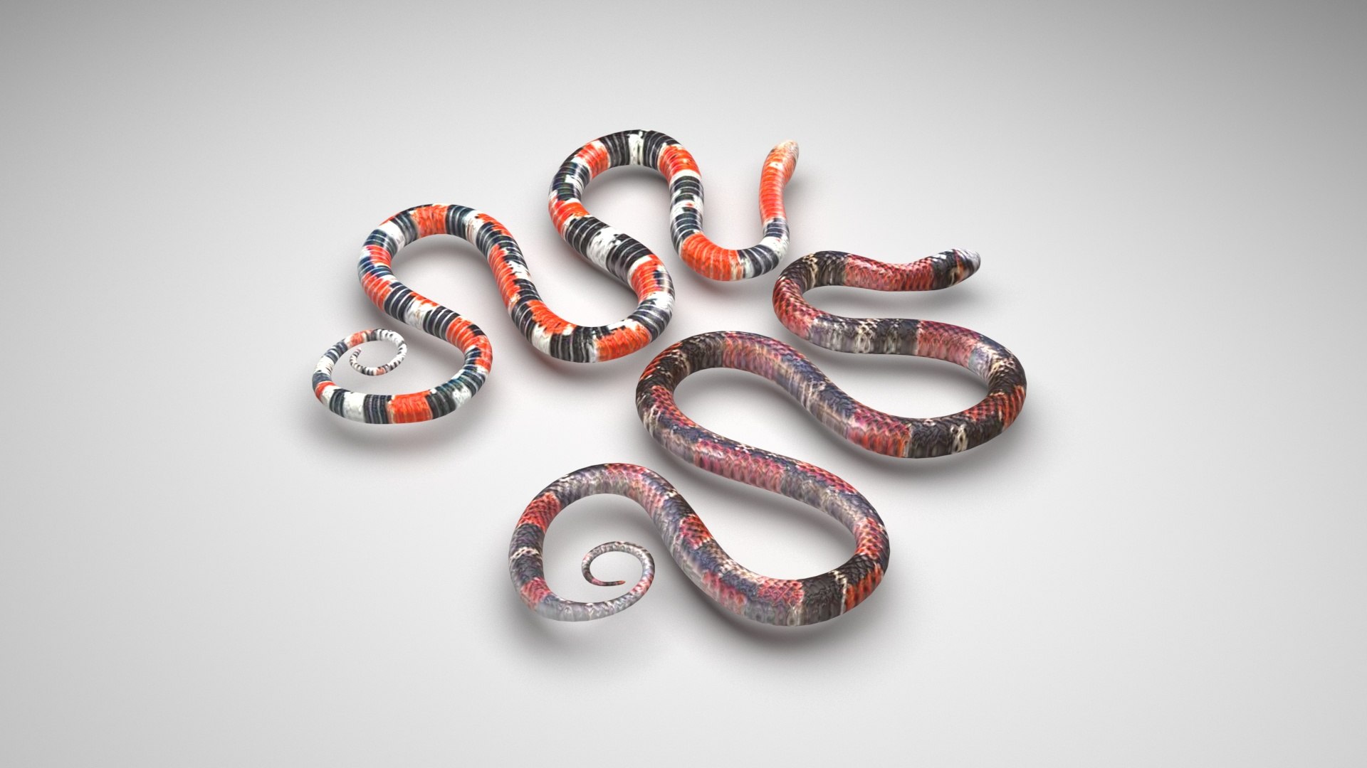 3D Snakes - TurboSquid 1871543